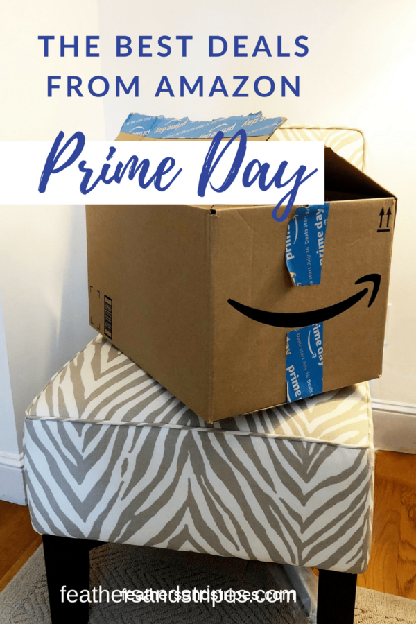 Amazon Prime Day 2019 | Feathers and Stripes
